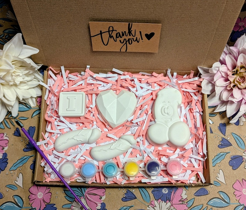 Hen Party Willy Inspired Paint Set Craft Kit - Paint You Own Willy Hen ...