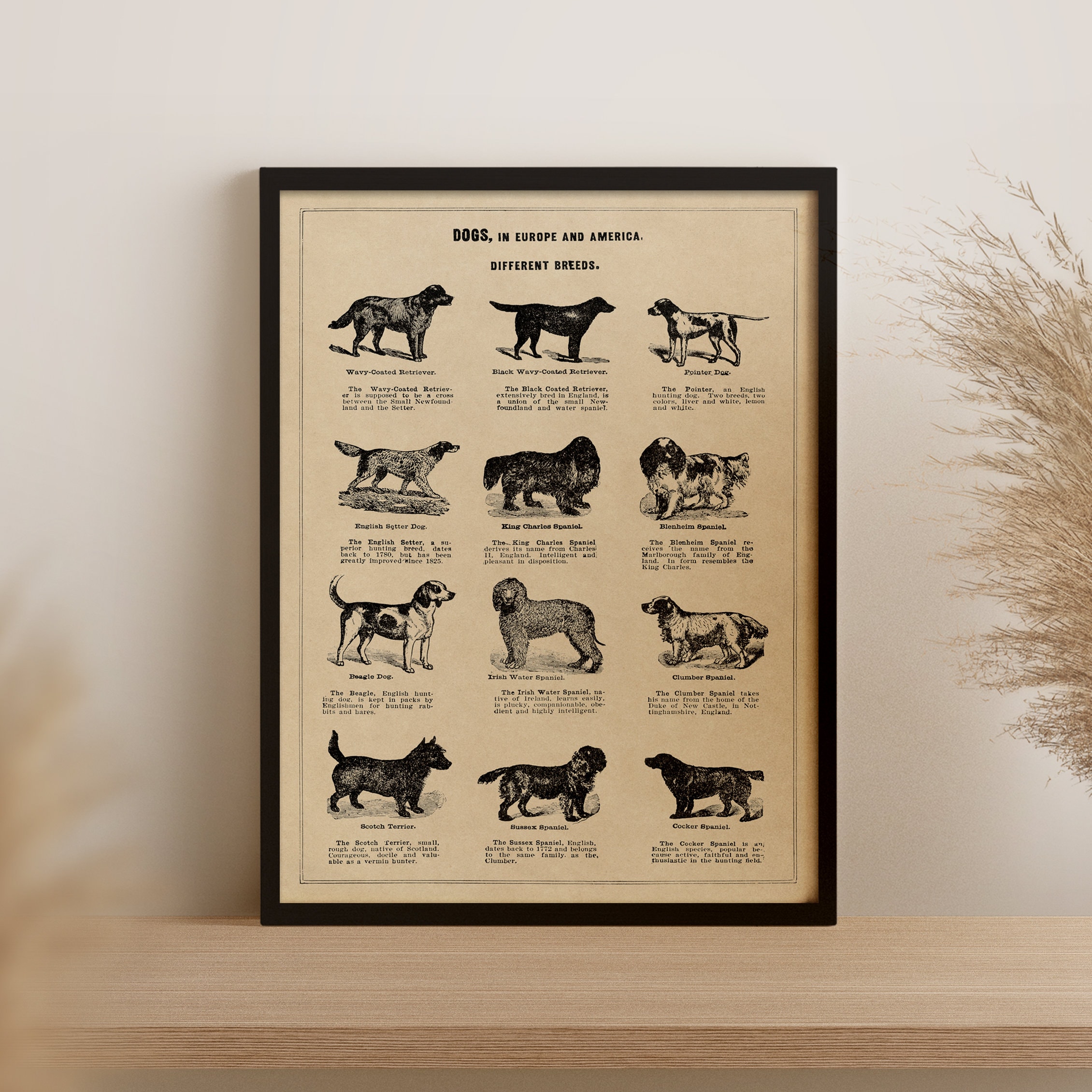 Dog Print, Vintage Dog Breeds Chart, Dog Wall Chart, Gift For Dog Lover