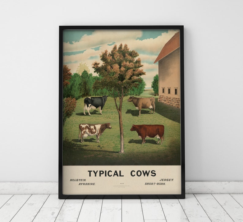 Cow Print Cattle Wall Art Cow Breeds Poster Typical Cows - Etsy UK