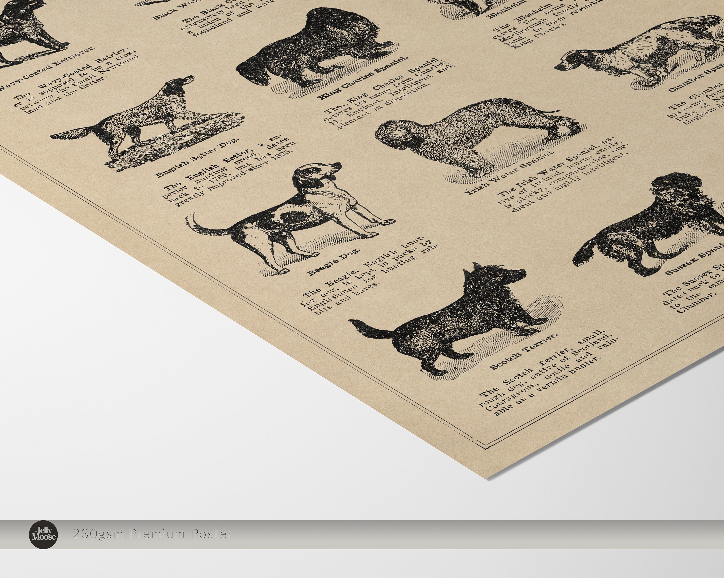 Dog Print, Vintage Dog Breeds Chart, Dog Wall Chart, Gift For Dog Lover