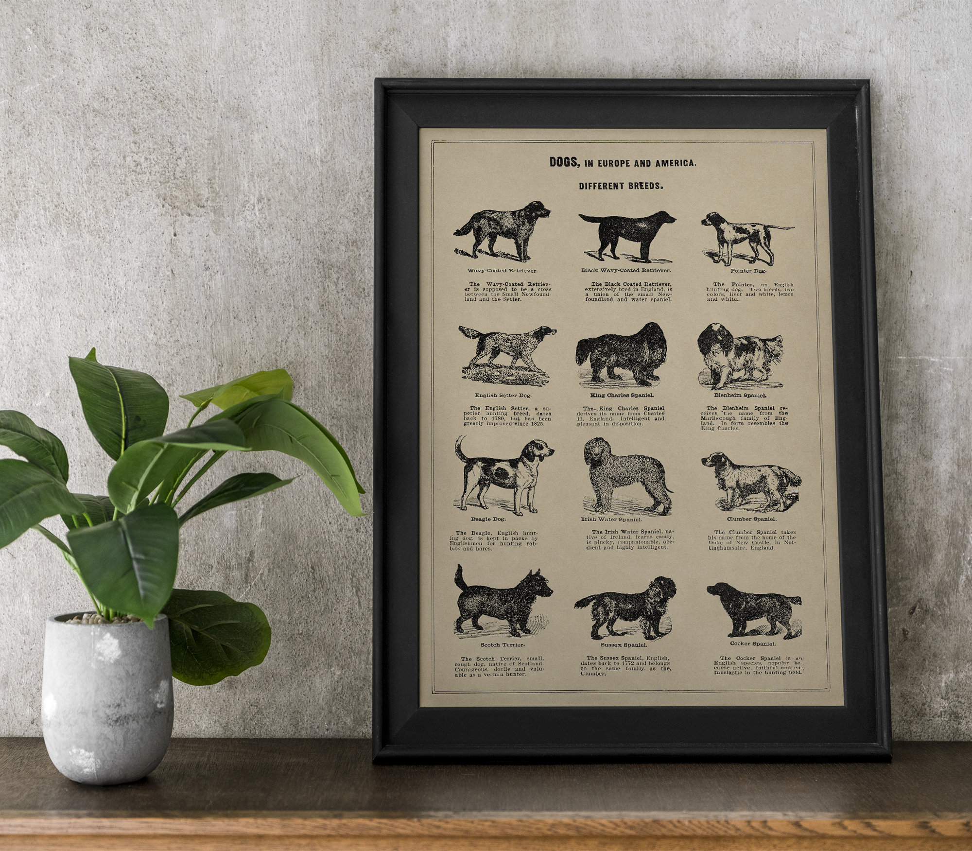 Dog Print, Vintage Dog Breeds Chart, Dog Wall Chart, Gift For Dog Lover