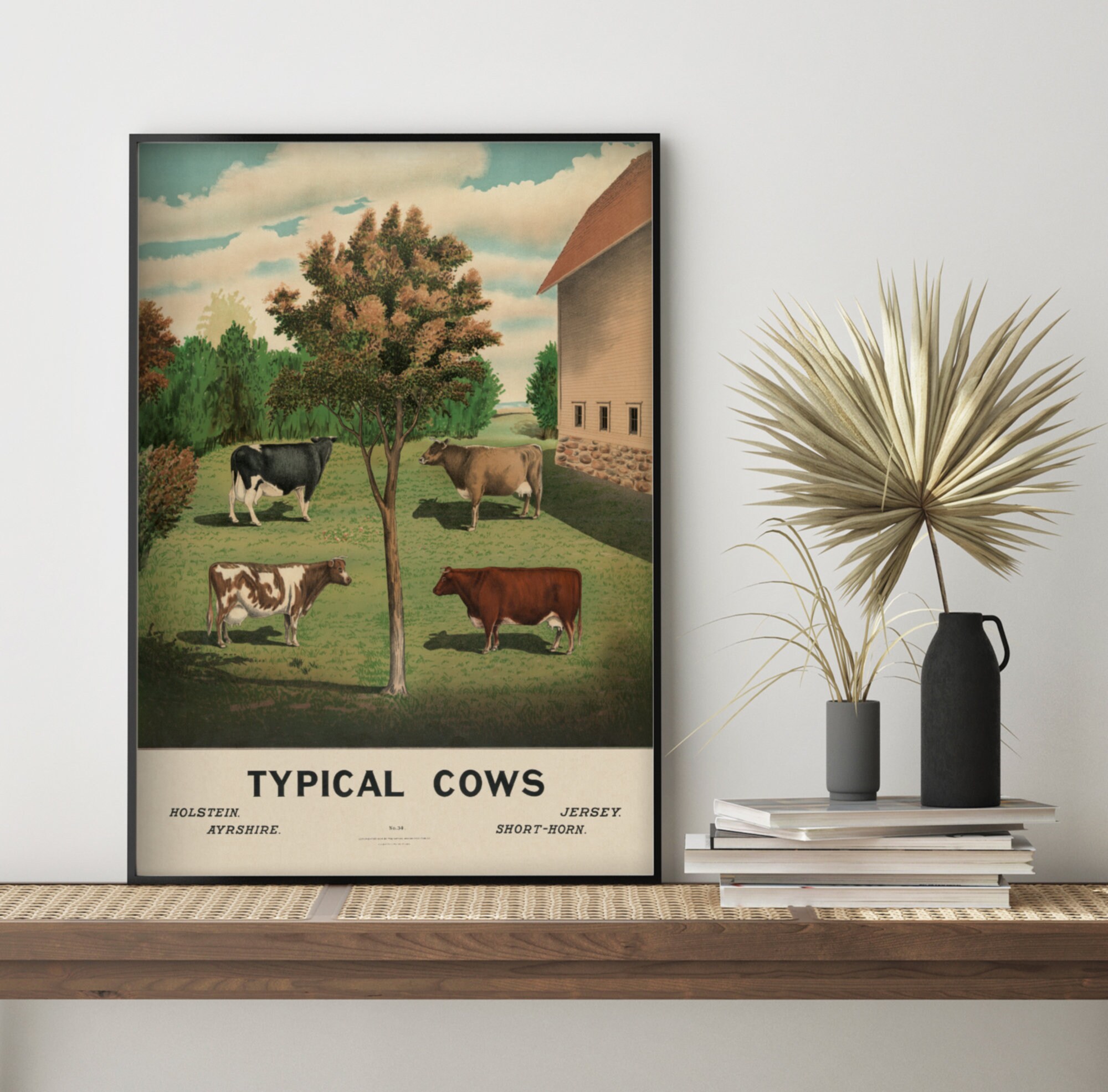 Cow Print Cattle Wall Art Cow Breeds Poster Typical Cows - Etsy UK