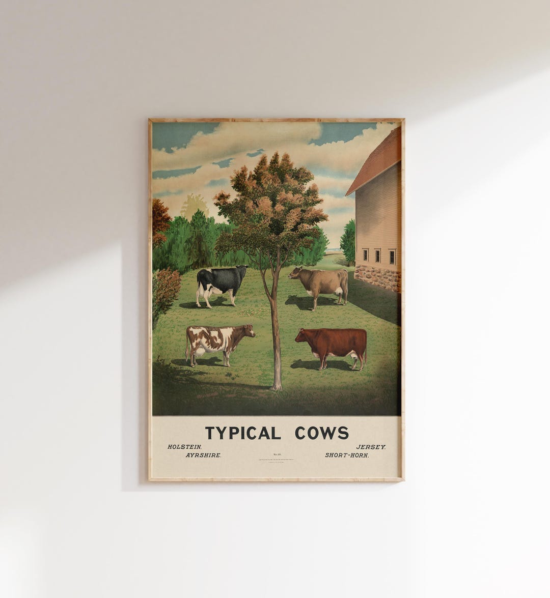 Cow Print, Cattle Wall Art, Cow Breeds Poster, Typical Cows Poster ...