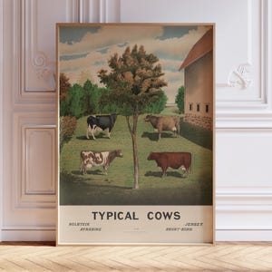 Cow Print, Cattle Wall Art, Cow Breeds Poster, Typical Cows Poster ...