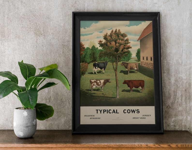 Cow Print Cattle Wall Art Cow Breeds Poster Typical Cows - Etsy UK