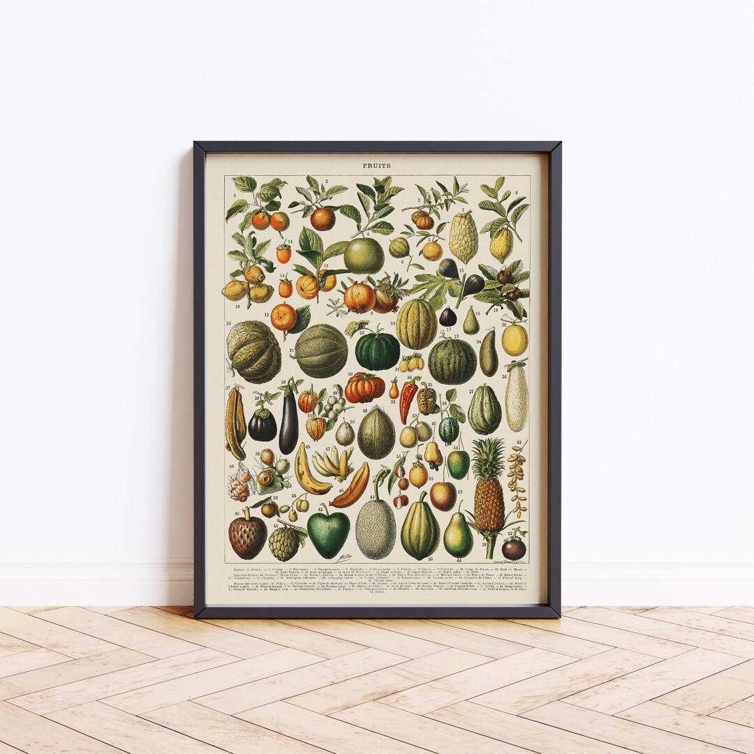 Vintage Fruit Chart Print, Kitchen Art, Adolphe Millot Print - Etsy