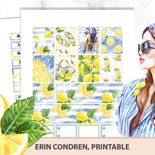 Erin Condren Planner Stickers Printable Summer Holiday | Etsy