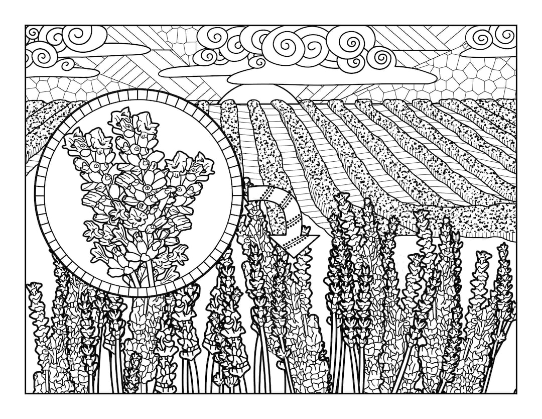 Lavender 1, Coloring Pages for Adults, 2 Printable Coloring Pages ...