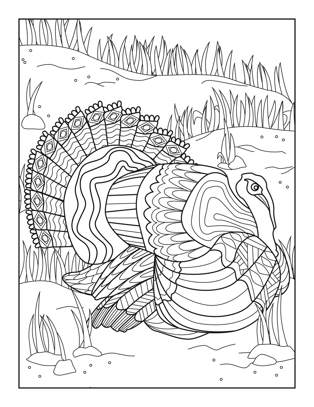 Wild Turkey Coloring Pages