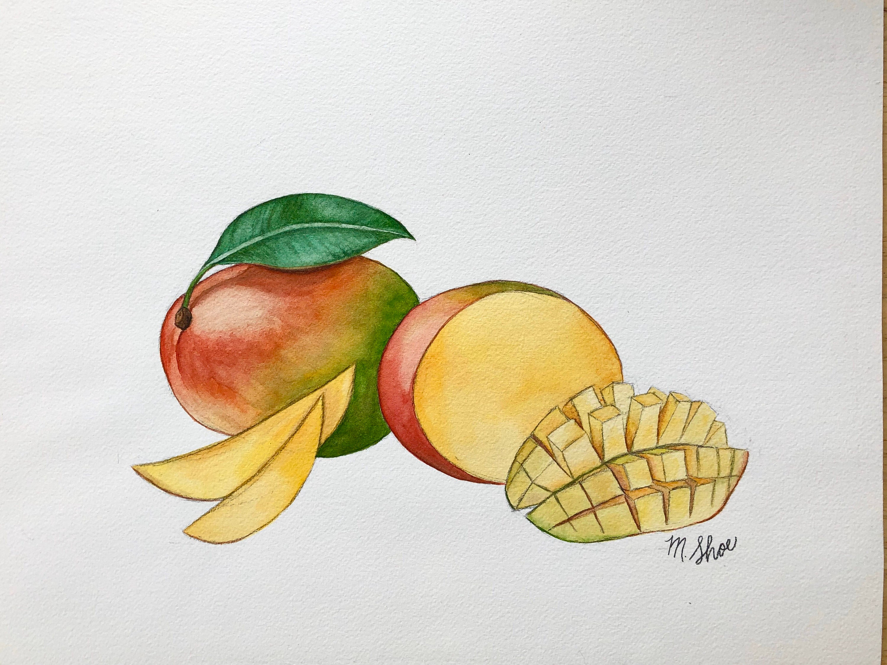 Mango Watercolor Print, Sliced Mango, Fruit Print - Etsy
