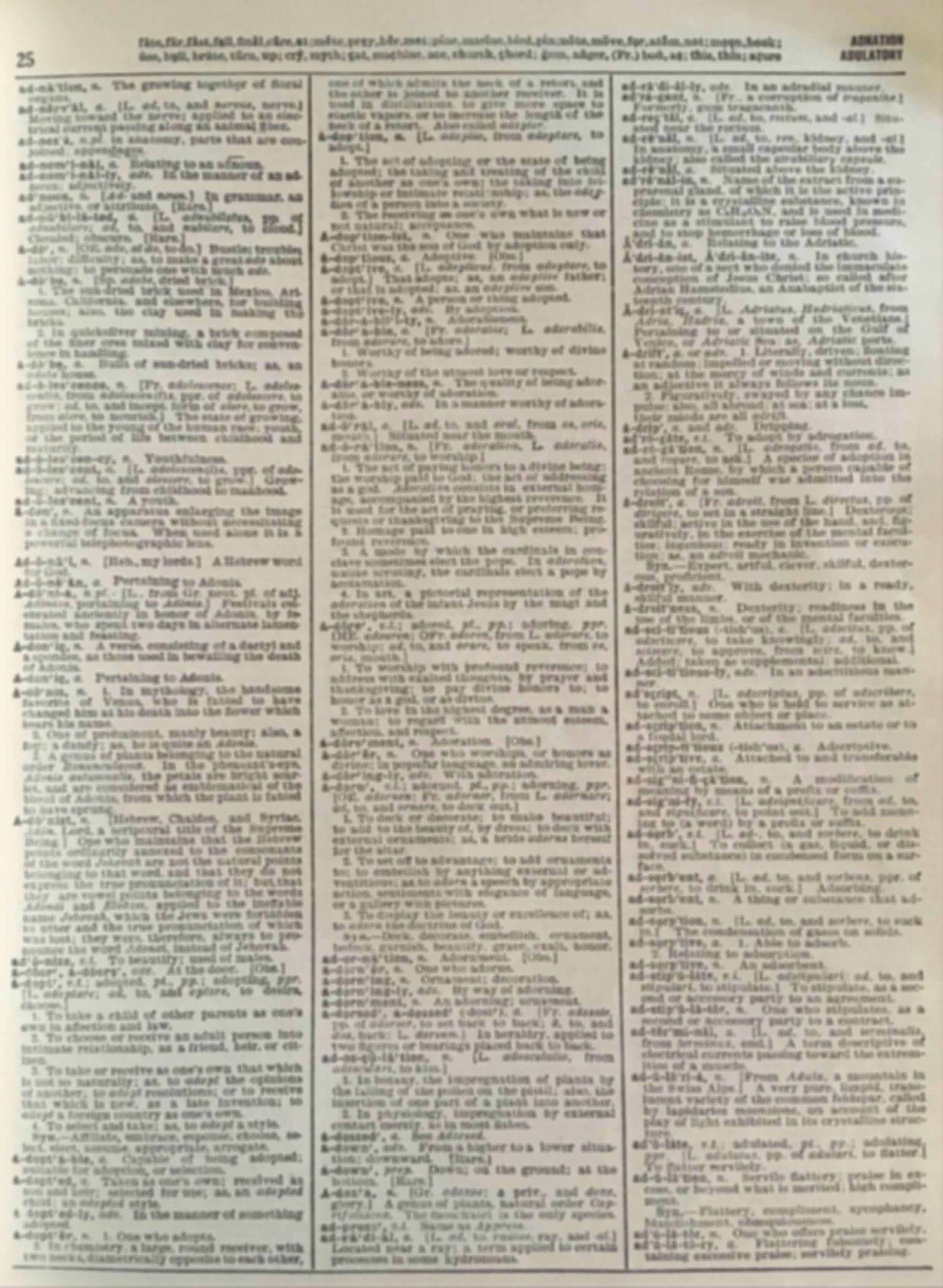 Vintage Antique Instant Download Printable Dictionary Page: Adore ...
