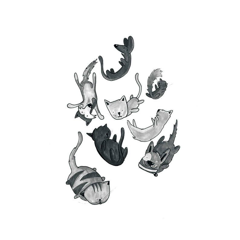 Raining Cats and Dogs Illustration Art Print - Etsy