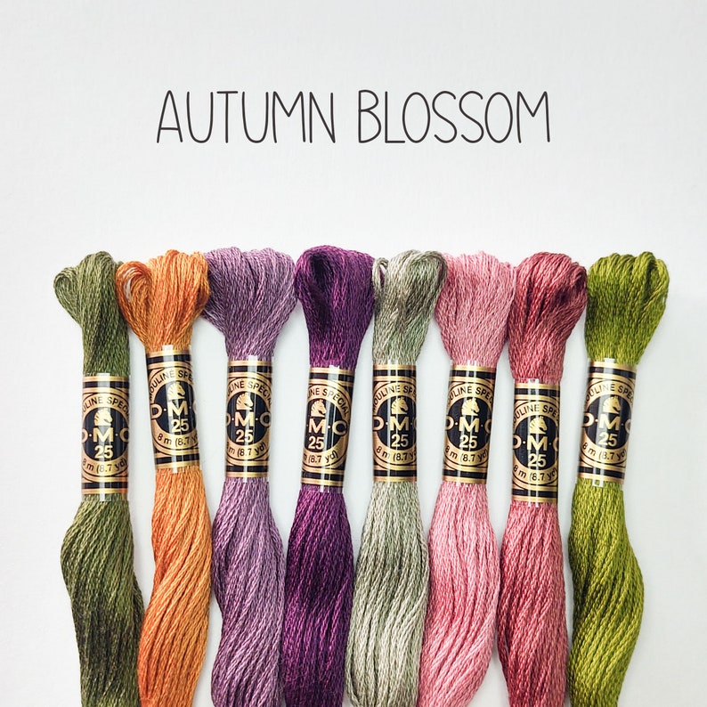 DMC Floss Bundle Floss Color Palette DMC Embroidery Thread - Etsy UK