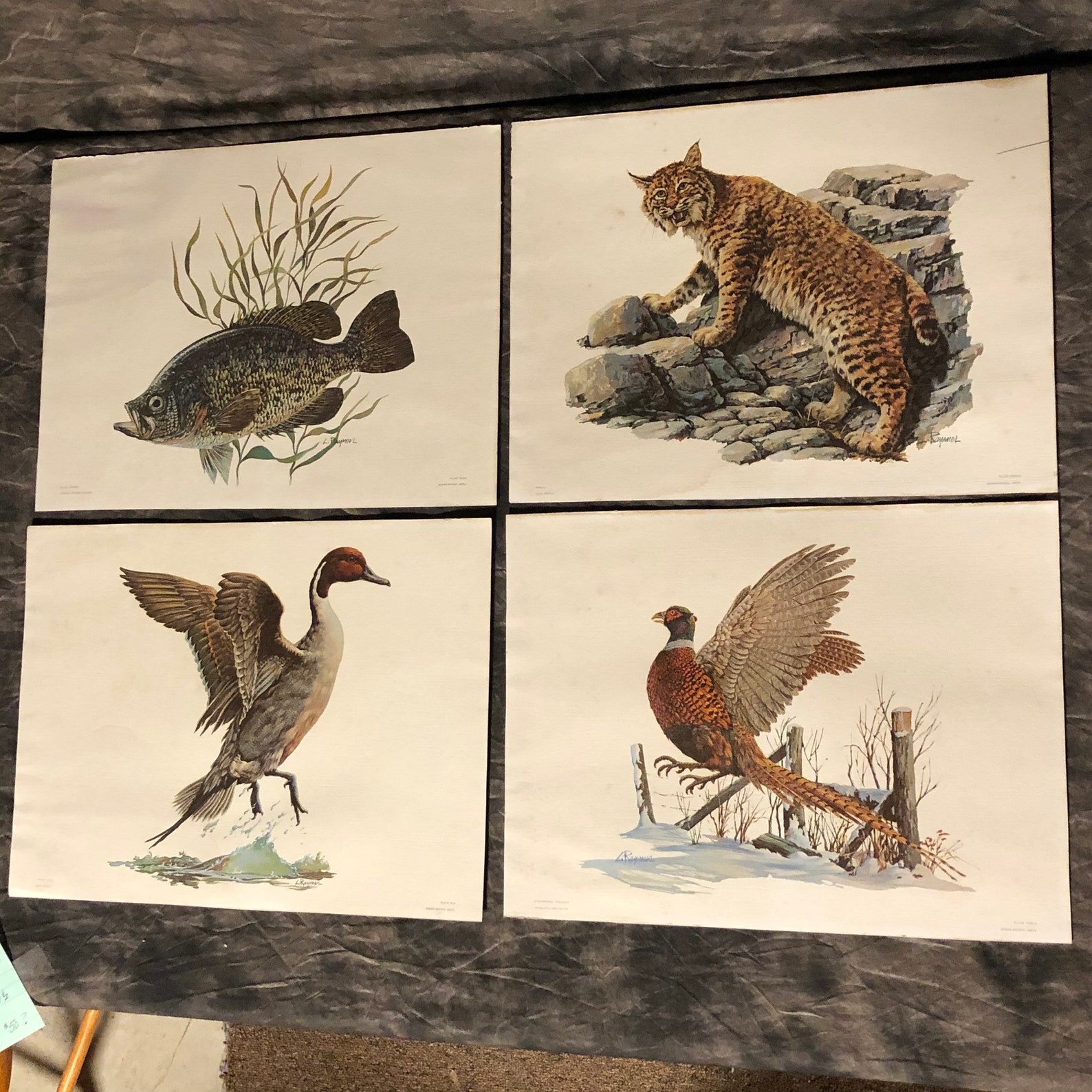 Vintage Louis Raymer Animal Calendar Art Prints 1929/set of 4 | Etsy