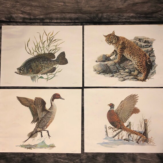 Vintage Louis Raymer Animal Calendar Art Prints 1929/set of 4 | Etsy