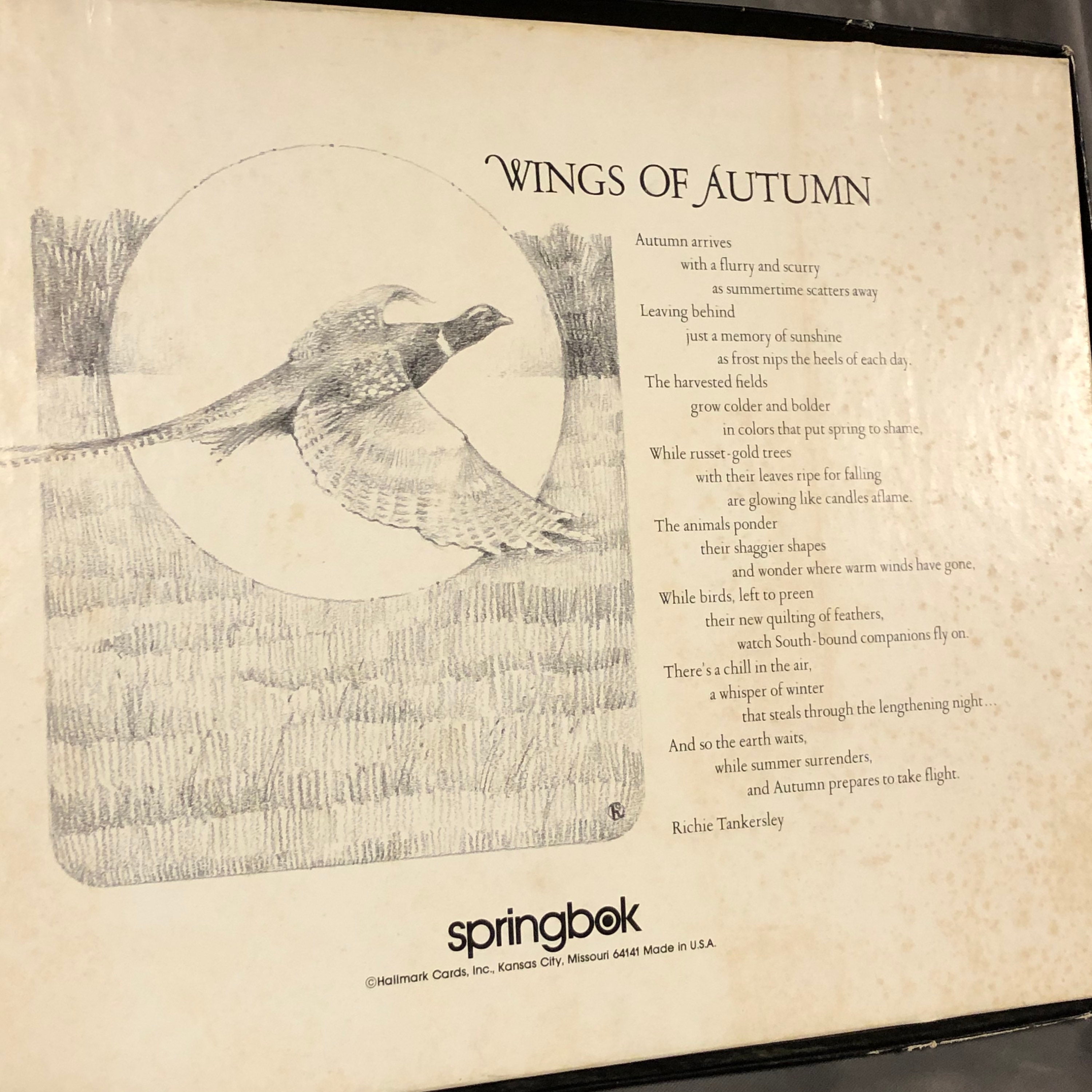 Vintage Springbok Jigsaw Puzzle Wings of Autumn / Hallmark | Etsy