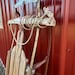 Rare Vintage True Temper Sno Surfer Wooden Sled Vintage - Etsy