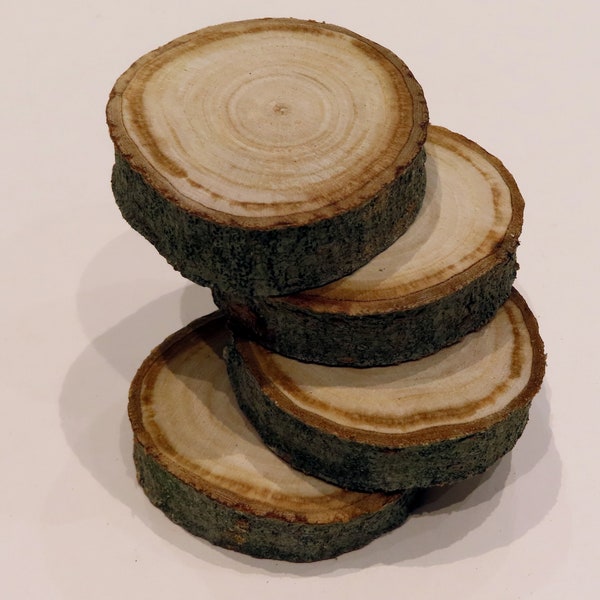 Tree Branch Slices - Etsy UK