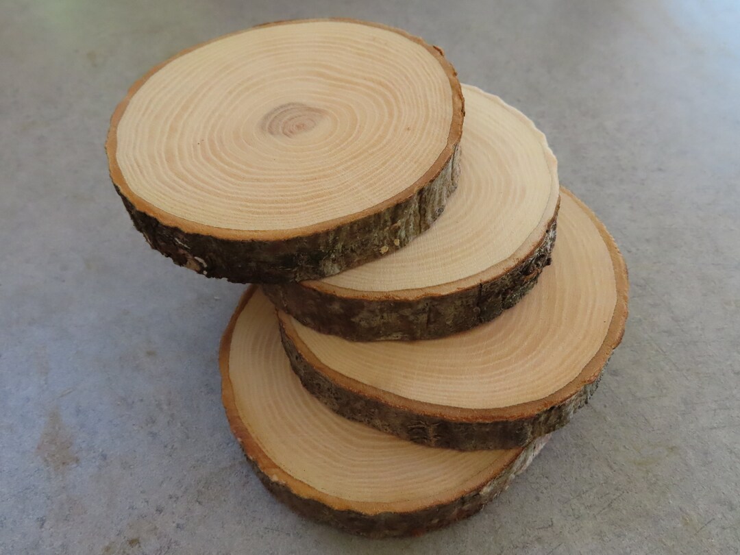 Pack of 4, 10cm 4inch Round Rustic Log Branch Slices Live Edge Elm Wood ...