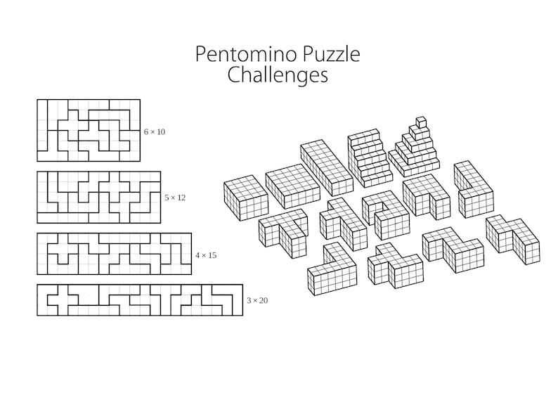 Pentomino 3D Wooden Block Puzzle - Etsy