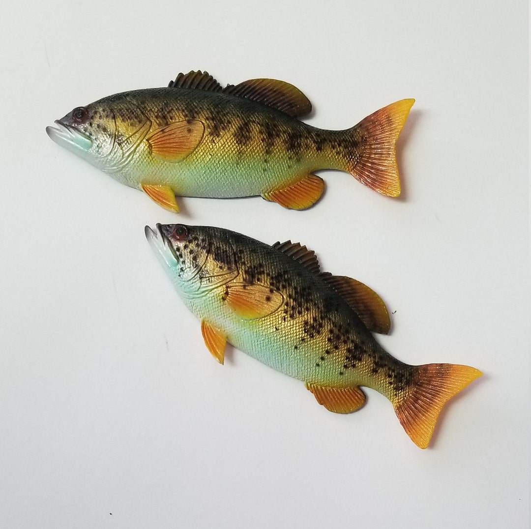 Striped Bass Refrigerator Magnets, 2 Pieces, Free Shipping 12123 ...