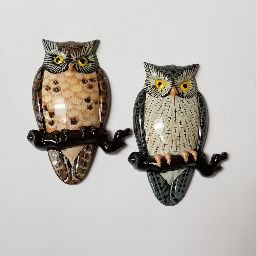 Owl Refrigerator Magnets, 2 Pieces, Free Shipping (57525), Owl Magnets ...