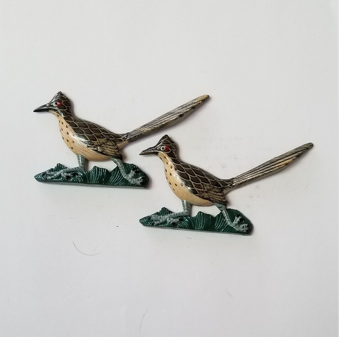 Roadrunner Refrigerator Magnets, 2 Pieces, Free Shipping 10623 Phtsqy ...