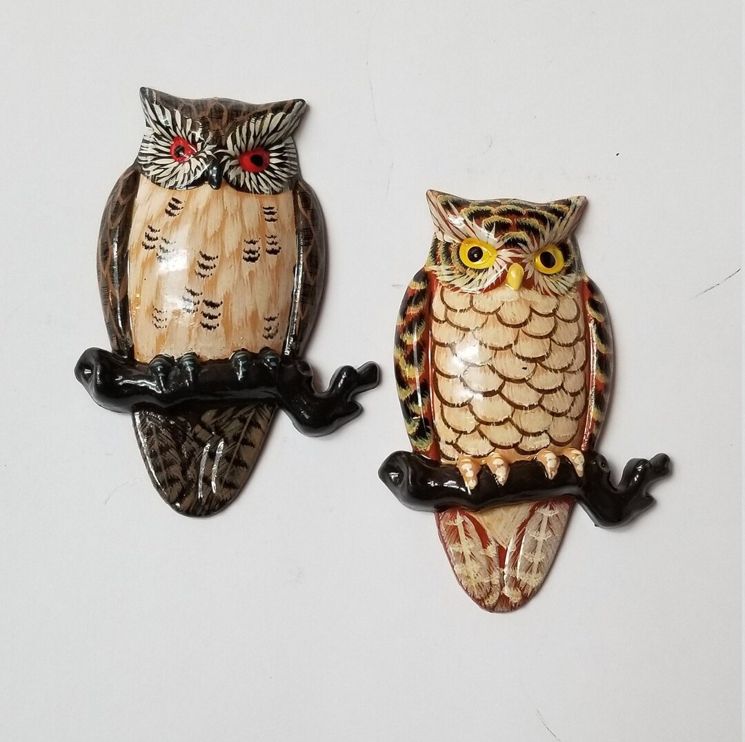 Owl Refrigerator Magnets, 2 Pieces, Free Shipping (83222), Spotted Owl ...