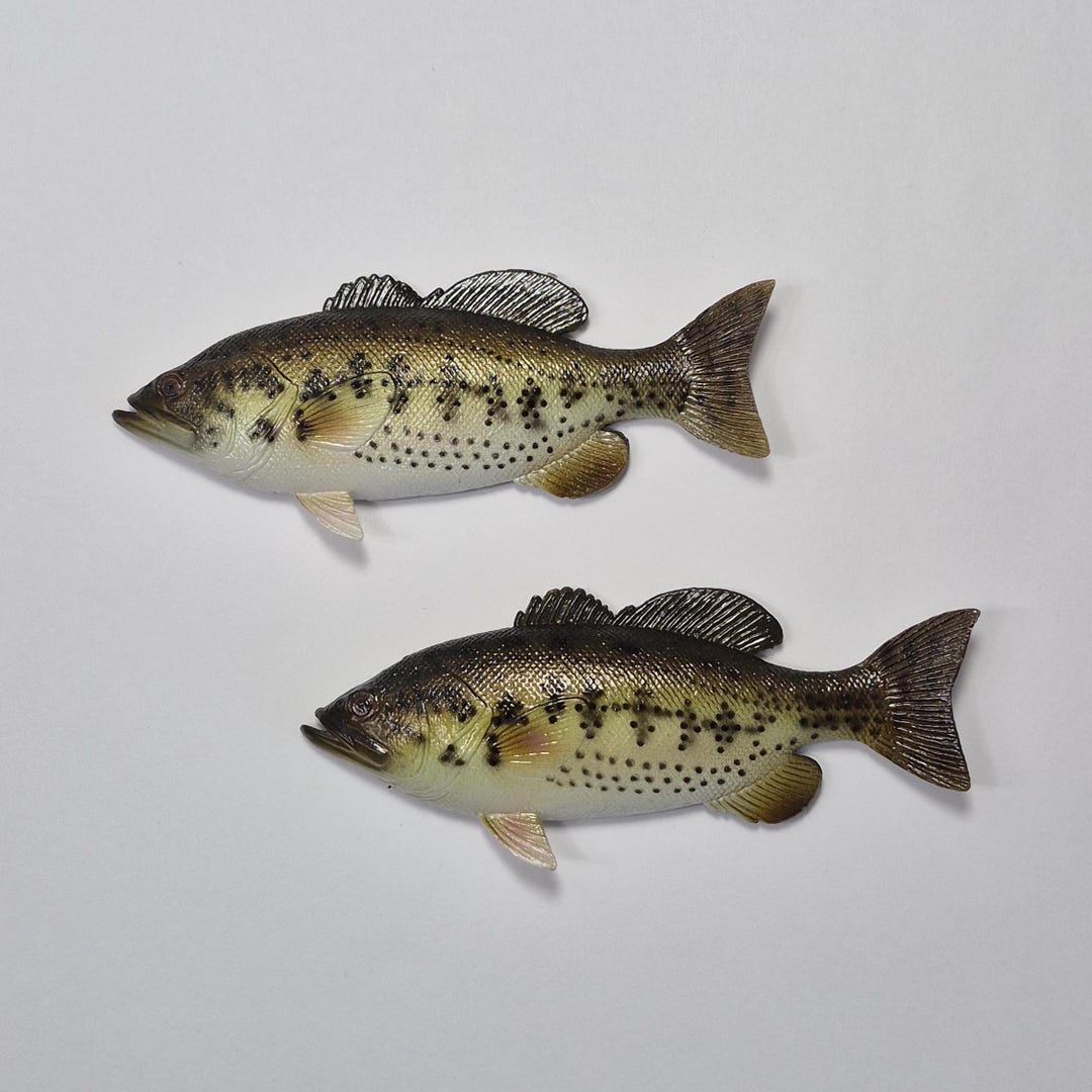 Largemouth Bass Refrigerator Magnets, 2 Pieces, Free Shipping (30924 ...