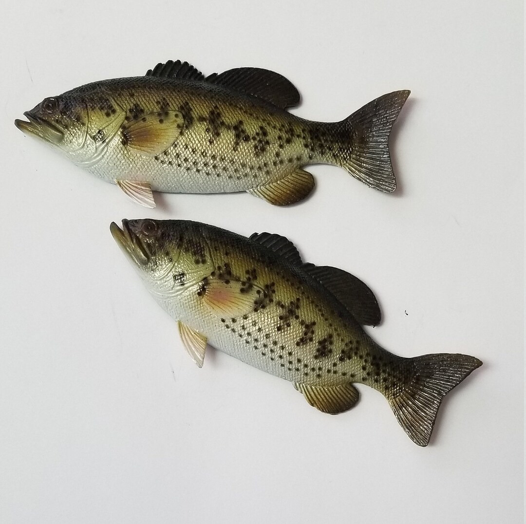 Striped Bass Refrigerator Magnets, 2 Pieces, Free Shipping 29424 ...