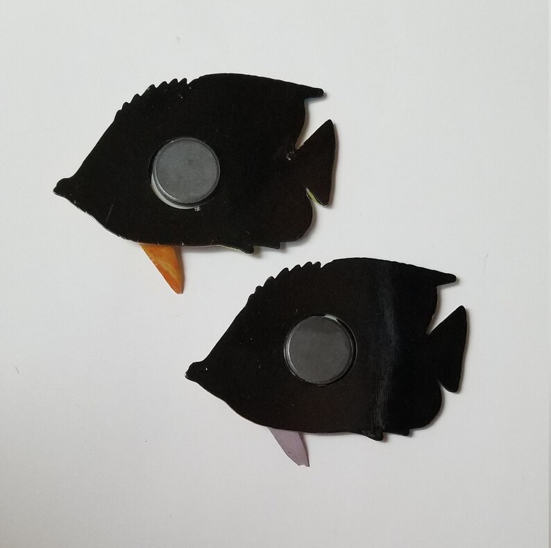Tropical Fish Refrigerator Magnets 2 Pieces Free Shipping - Etsy