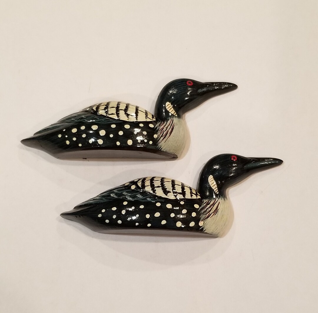 Loon Refrigerator Magnets, 2 Pieces, Free Shipping 13623, Common Loon ...