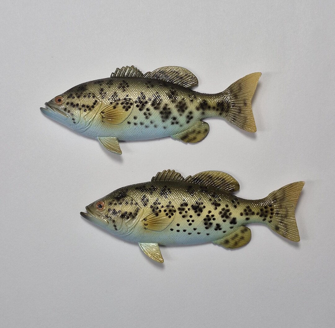 Largemouth Bass Refrigerator Magnets, 2 Pieces, Free Shipping (40820 ...