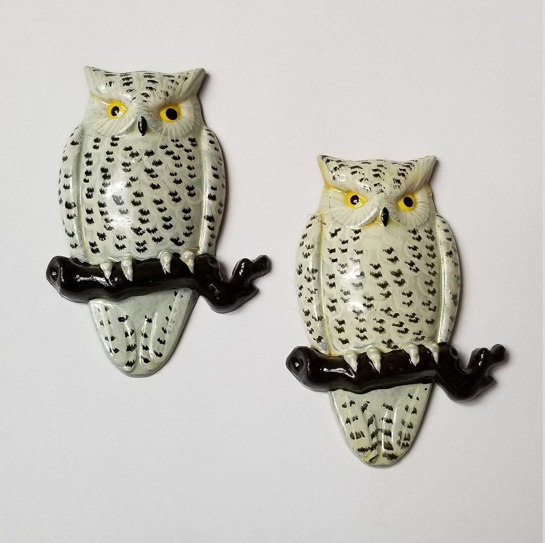 Owl Refrigerator Magnets, 2 Pieces, Free Shipping (55220), Owl Magnets ...