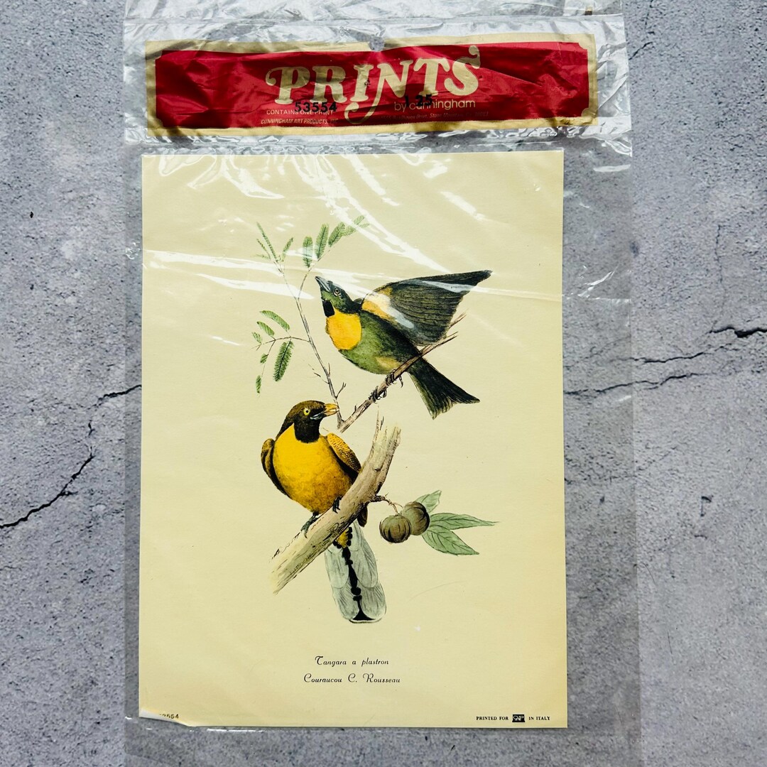 Prints by Cunningham Couraucou C. Rosseau Vintage Audubon Bird ...