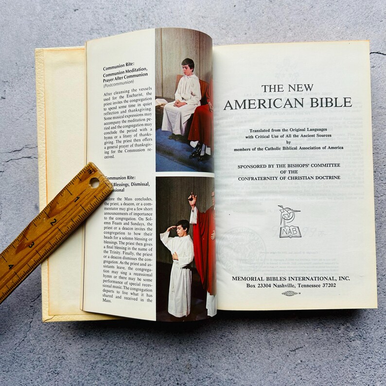 The New American Holy Bible Illustrated Prince of Peace Catholic ...