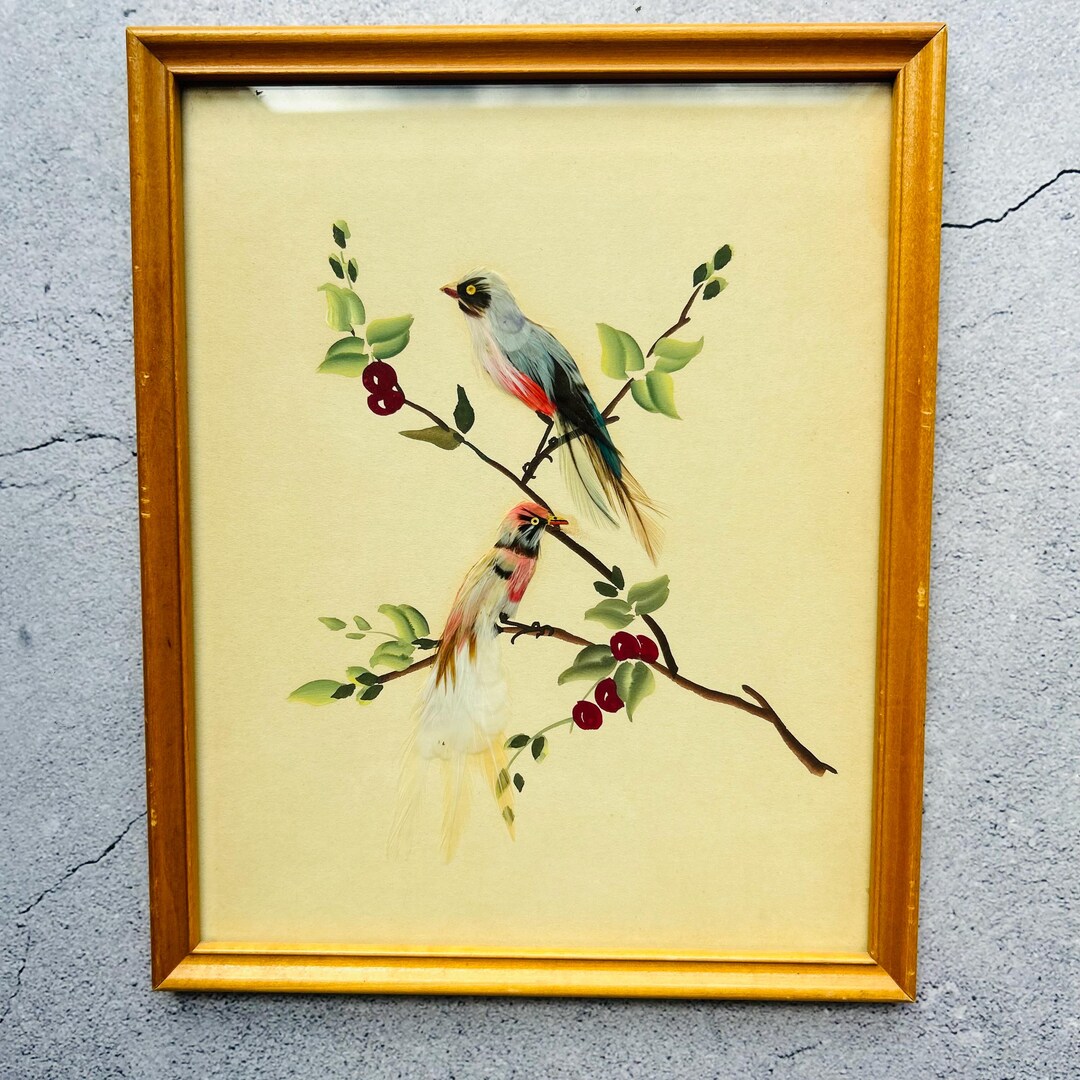 Feathercraft Bird Art With Hand Painted Background Real Feathers Framed ...