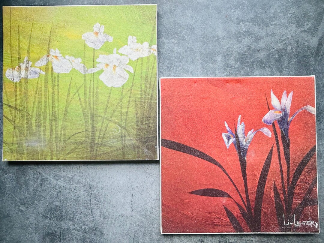 Karma + Aura Wrapped Canvas Giclee Art by Don Li-leger Lot of 2 - Etsy