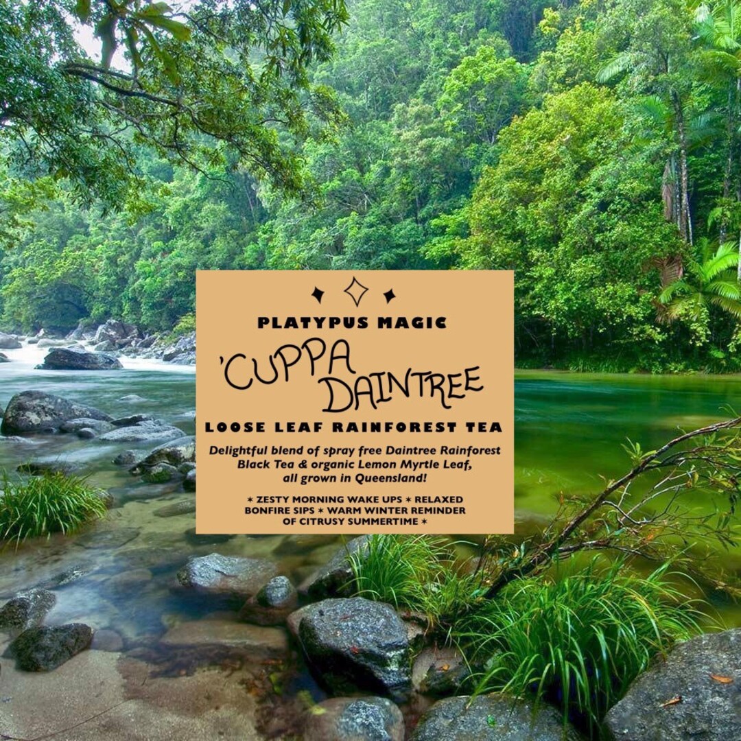 Cuppa Daintree Loose Leaf Rainforest Tea - Etsy