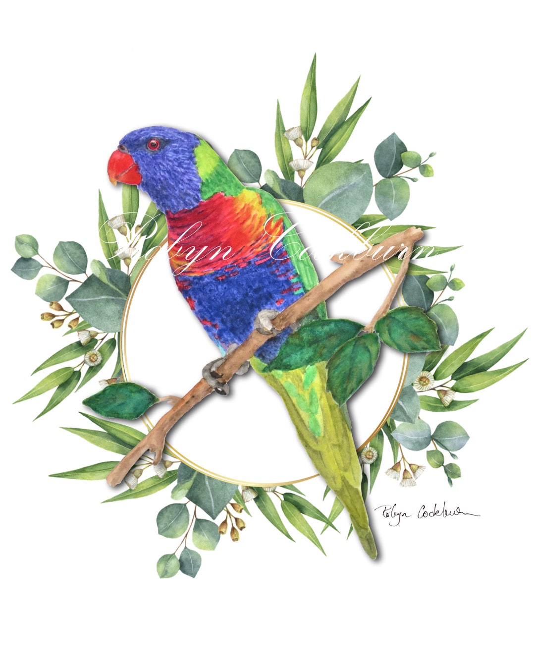 Australian Rainbow Lorikeet Art Print Parrot Painting - Etsy