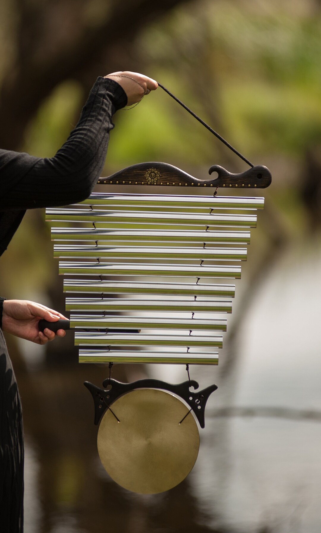 Sound Healing Chimes & Gong for Music Therapy 10 Note Bells Chime and ...