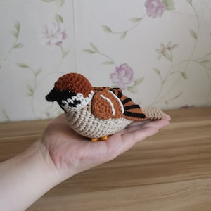 Eurasian Tree Sparrow,crochet Pattern With Video,amigurumi Pattern,pdf ...