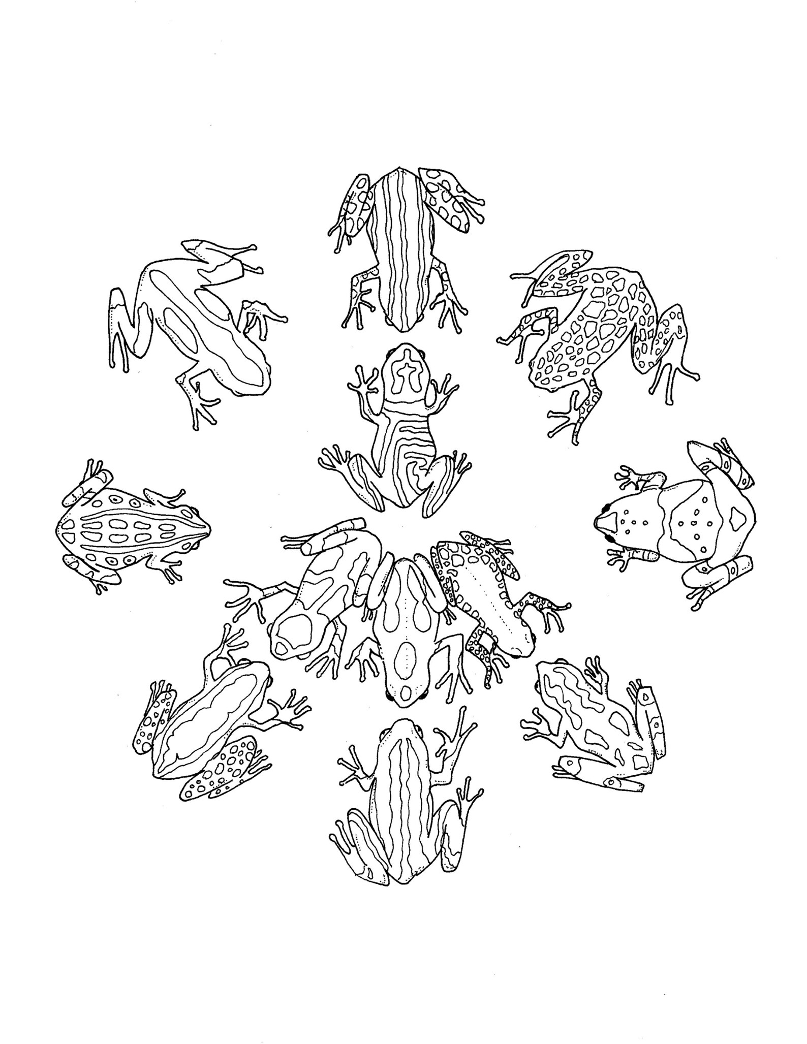 Lucid Dreams, A 20 Page, Adult Coloring Book by Roger A. Feltman ...