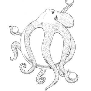 Lucid Dreams, A 20 Page, Adult Coloring Book by Roger A. Feltman ...