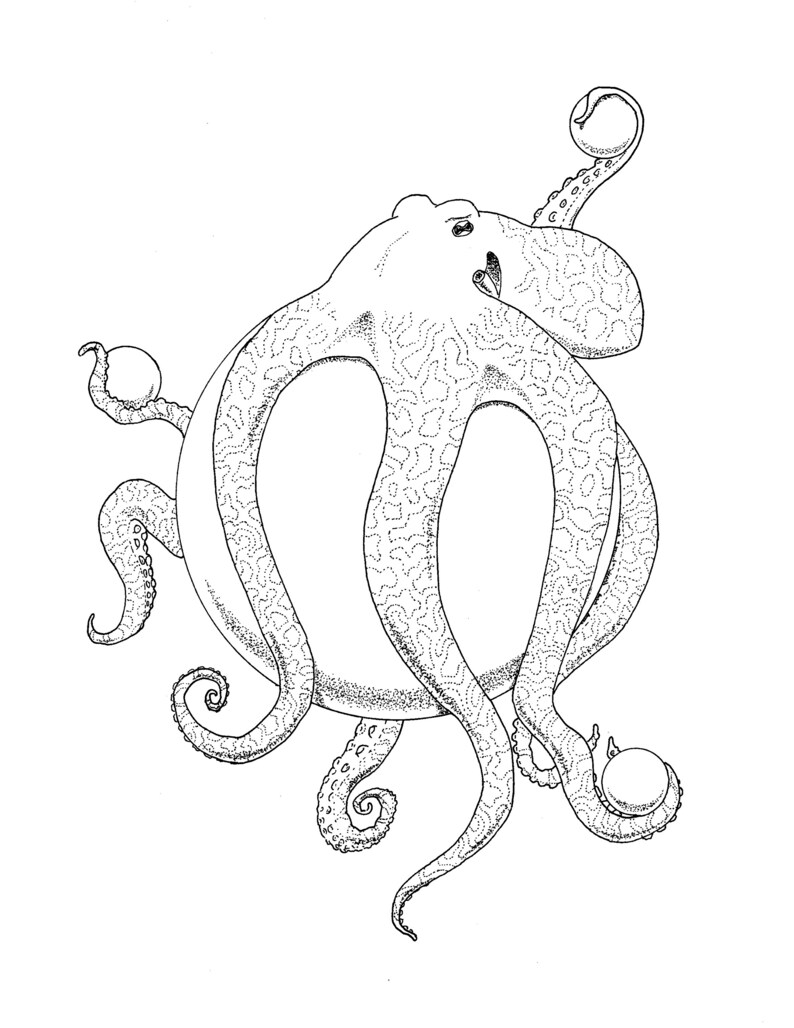 Lucid Dreams, A 20 Page, Adult Coloring Book by Roger A. Feltman ...