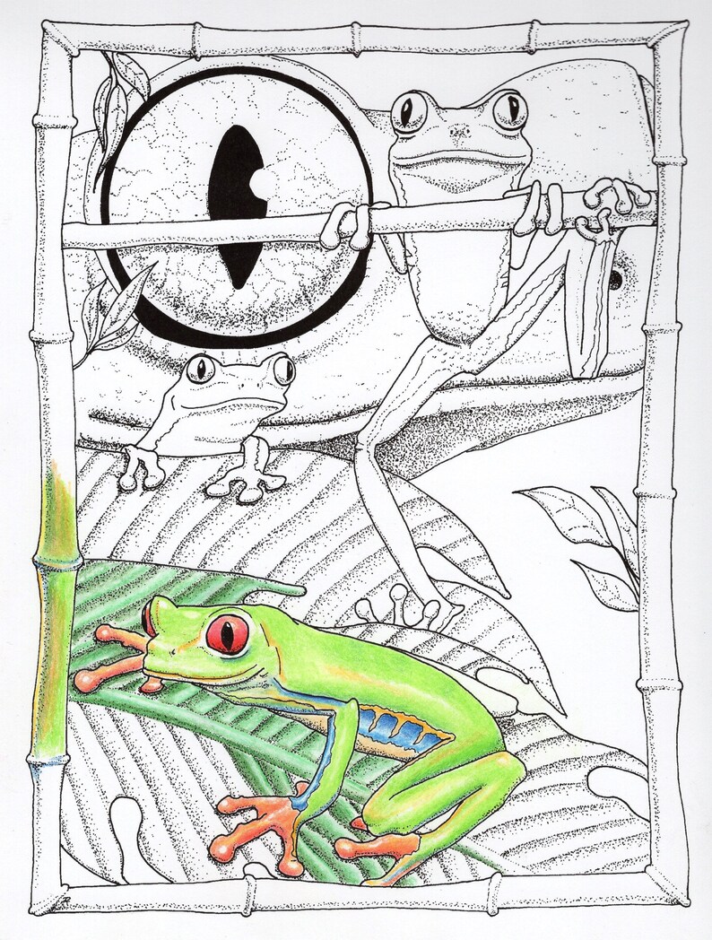 Lucid Dreams, A 20 Page, Adult Coloring Book by Roger A. Feltman ...