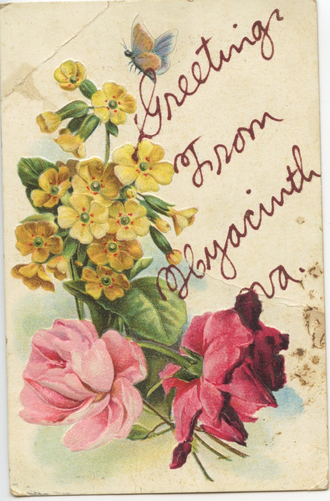 Antique Lightly Embossed Postcard Greetings From Hyacinth VA Ben ...