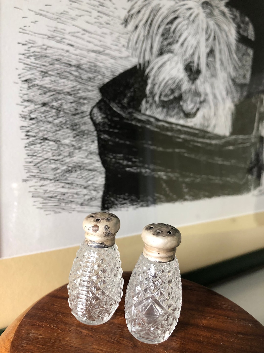 Molded Glass Mini Salt and Pepper Shakers With Sterling Silver Screw ...