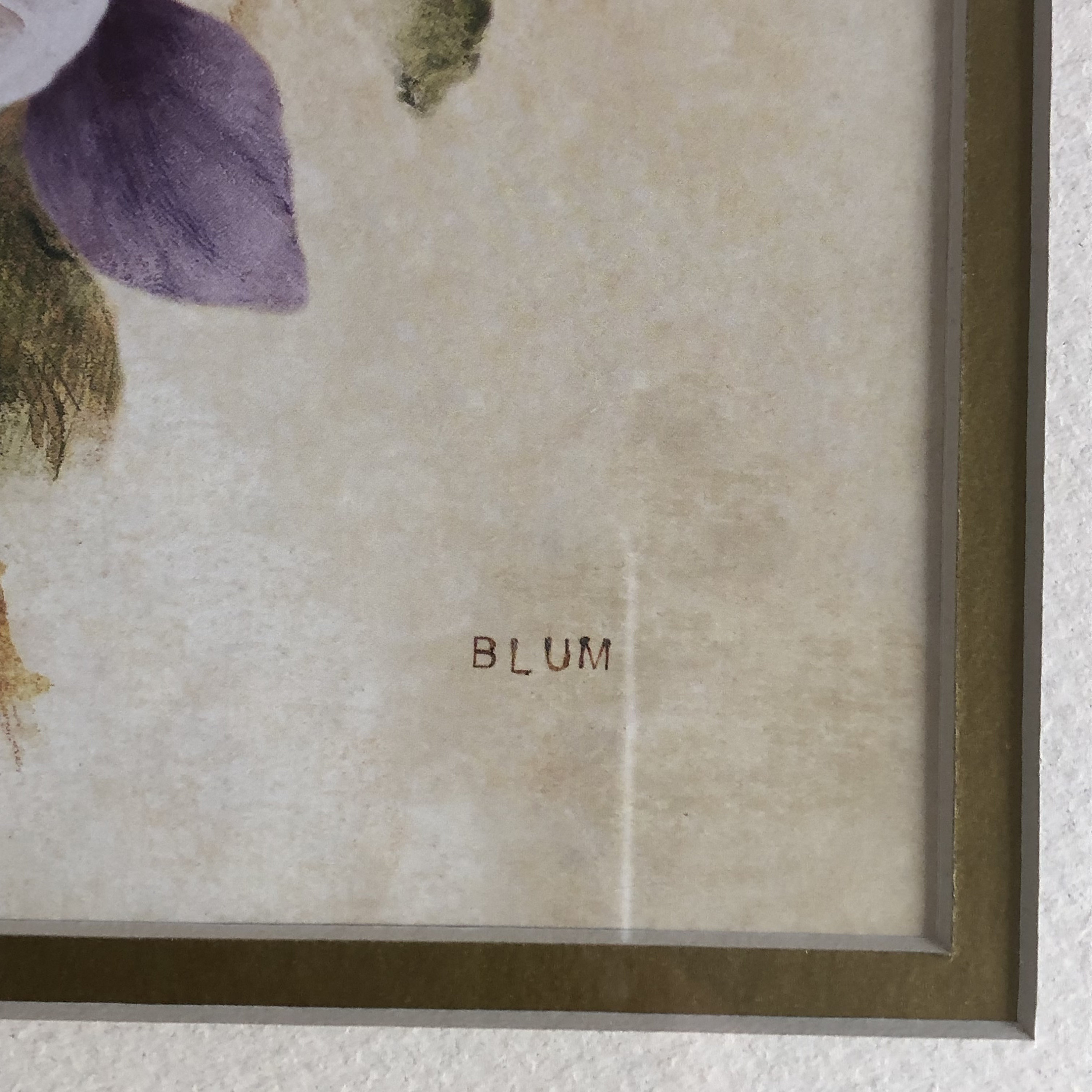 Cheri Blum Flower Print in Gilt Wooden Frame - Etsy