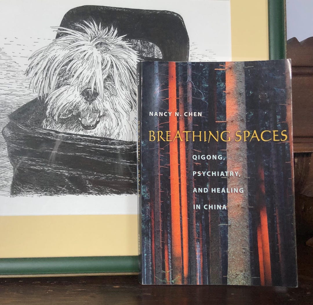 Signed by Author Nancy N. Chen Breathing Spaces: Qigong, Psychiatry ...